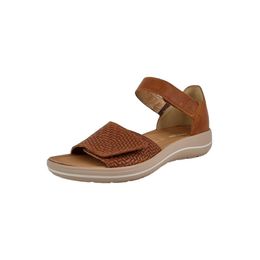 Hartjes Komfort Sandalen in Braun | Gr.: 42