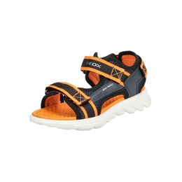 Geox Sandalen in Navy/Orange | Gr.: 28