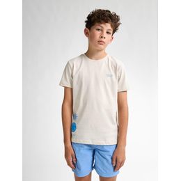 PETROL INDUSTRIES Shirt in Wei&szlig;/ Blau | Gr.: 128