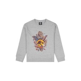 ONOMATO! Pullover Sweatshirt Jurassic World Dinosaurier in Grau | Gr.: 158/164