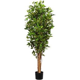 Creativ green Kunstbaum »Ficus Benjamini« grün Obermaterial: 70% Polyester, 30% Kunststoff