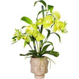 Creativ green Kunstorchidee »Orchideen-Bambus-Arrangement im Buddhakopf« grün Obermaterial: 100% Polyethylen