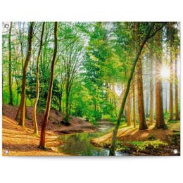 Reinders Poster &raquo;Sonniger Wald&laquo; gr&uuml;n Leinwand