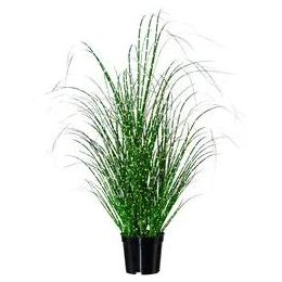 Kunstgras Gasper, grün (grün, weiß), B:35cm H:58cm T:35cm, Kunststoff, Kunstpflanzen