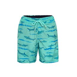 Daniel Hills Board Shorts boy Blue size 9-10