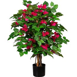 Bougainvillea, UV-beständig, Höhe ca. 1000 mm, Blüten cerise kaiserkraft