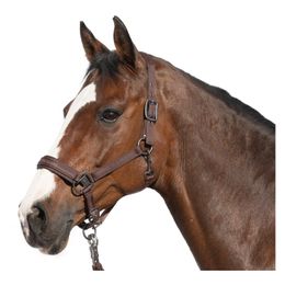 Cheval de Luxe Halfter Lyon schwarz WB