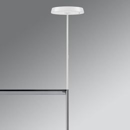 Belux koi Klemmleuchte, LED, KOIS46-16-8030-TD,