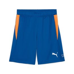 Puma Workout Pants 'Individual' male Blue size L