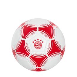 FC Bayern M&uuml;nchen Fc Bayern M&uuml;nchen Ball boy Mixed colors size 5