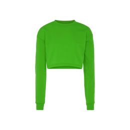 Flyweight Sweatshirt female size XS Apple