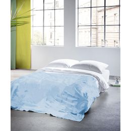 Plaid Fleuresse "Plaid", blau (bleu), B:180cm L:270cm, Baumwolle, Leinen, Wohndecken, Halbleinen, in Gr. 180x270 cm, Plaid