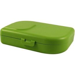 ajaa Brotbox mit Trenner lime 700012
