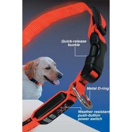 Nite Ize LED Hundehalsband rot - Gr&ouml;&szlig;e S NINND0310