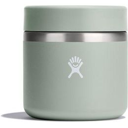 Hydro Flask Food Jar Insulated agave - Gr&ouml;&szlig;e 591 ml RF20374