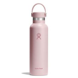 Hydro Flask Standard Mouth Hydro Flask Flex Cap trillium/trillium - Gr&ouml;&szlig;e 621 ml S21CSX678