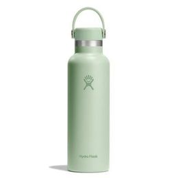 Hydro Flask Standard Mouth Hydro Flask Flex Cap aloe/aloe - Gr&ouml;&szlig;e 621 ml S21CSX338