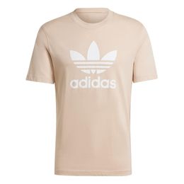 adidas originals Shirt 'Adicolor Trefoil' male Beige size S