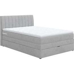 Boxspringbett COTTA "Shark inkl. Bettkasten und Topper", grau (argent), B:146cm L:212cm, 100% POLYESTER (PES), Komplettbetten, erhältlich in den Breiten 140x200cm, 160x200cm und 180x200cm, Topseller