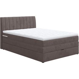 Boxspringbett COTTA "Shark inkl. Bettkasten und Topper", braun (mud), B:146cm L:212cm, 100% POLYESTER (PES), Komplettbetten, erhältlich in den Breiten 140x200cm, 160x200cm und 180x200cm, Topseller