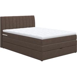 Boxspringbett COTTA "Shark inkl. Bettkasten und Topper", braun (espresso), B:146cm L:212cm, 100% POLYESTER (PES), Komplettbetten, erhältlich in den Breiten 140x200cm, 160x200cm und 180x200cm, Topseller