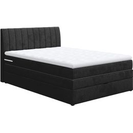 Boxspringbett COTTA "Shark inkl. Bettkasten und Topper", schwarz, B:146cm L:212cm, 100% POLYESTER (PES), Komplettbetten, erhältlich in den Breiten 140x200cm, 160x200cm und 180x200cm, Topseller