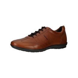 Schn&uuml;rschuh Geox "Geox Halbschuhe Leder", Herren, Gr. 41, braun (mittelbraun), Leder, Schuhe Schn&uuml;rschuh