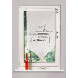 Scheibengardine Home Wohnideen "AUSZEIT" Gr. 1, grau, B:40cm H:80cm, Voile, Polyester, Gardinen, DIGITALBEDRUCKT, VOILE, SCHAUBE