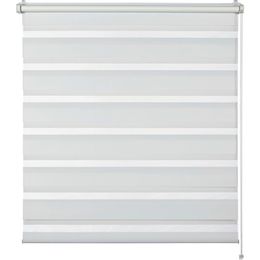 Sch&ouml;ner Wohnen Kollektion SCH&Ouml;NER WOHNEN-KOLLEKTION Doppelrollo &raquo;Tilda&laquo; transparent Sichtschutz mit Bohren/ohne Bohren freih&auml;ngend geklemmt, silberne oder wei&szlig;e...