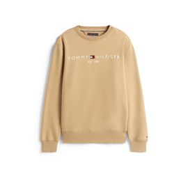 Tommy Hilfiger Sweatshirt male Brown size XL