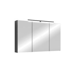 ByLiving Spiegelschrank SPREE, Breite 100 cm, anthrazit, LED Beleuchtung