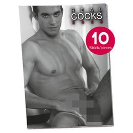 Pin-up Kalender „Real Cocks 2026“ im 10er-Pack