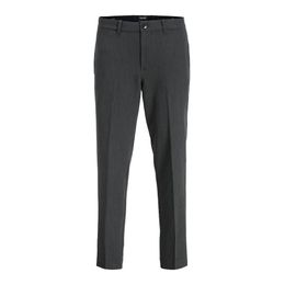 Jack & Jones Jack & Jones Pleated Pants 'JJPstace Leo' male Grey size 33