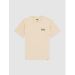 Dickies T-Shirt 'Apison' Herren Gr&ouml;&szlig;e XXL beige / gr&uuml;n