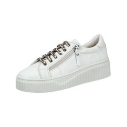 Piazza Sneakers Low in offwhite | Gr.: 39
