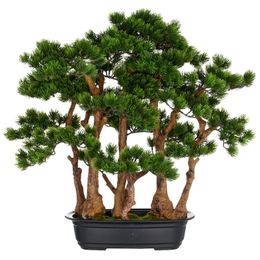 Creativ green Kunstbonsai »Bonsai Kiefer« mit detailgetreuer Gestaltung grün