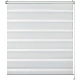 Sch&ouml;ner Wohnen Kollektion SCH&Ouml;NER WOHNEN-KOLLEKTION Doppelrollo &raquo;Tilda&laquo; transparent Sichtschutz mit Bohren/ohne Bohren freih&auml;ngend geklemmt, silberne oder wei&szlig;e...