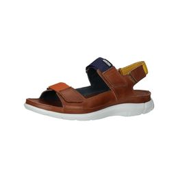 Pikolinos Sandale »Sandalen Leder« Dunkelbraun 43 43 Verschluss: Klettverschluss