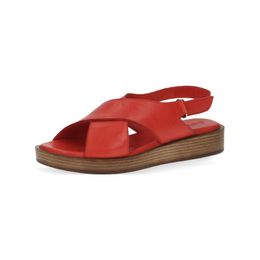 Caprice Riemchensandale »Sandalen Leder« Rot 42 42 Verschluss: Klettverschluss