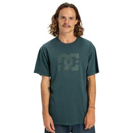 DC Shoes T-Shirt »DC Star Pigment Dye« Ponderosa Pine L L Stoff: Baumwolle, Baumwoll-Jersey