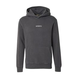 Superdry Sweatshirt male Grey size L