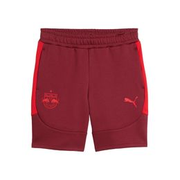 Puma Workout Pants 'Bull Salzburg Evostripe' male Red size L