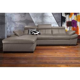 exxpo - SOFA FASHION Ecksofa »Salerno, klassisch modernes Funktionssofa, hoher Sitzkomfort, L-Form« inkl. Kopf- und Armteilverstellung, wahlweise...