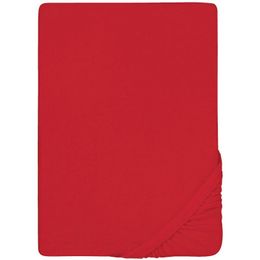 Biberna Spannbettlaken &raquo;Pepe&laquo; weicher Frottee-Stretch rot Obermaterial: 80% Baumwolle, 20% Polyester B/L: 200 cm