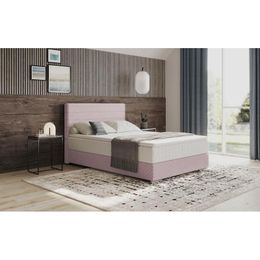 MR. COUCH Boxbett »Stratus 2« inkl. Bettkasten und Matratze Stripes 8626 flamingo