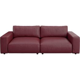 Musterring Big-Sofa »LUCIA« in vielen Qualitäten und 4 unterschiedlichen Nähten, 2, 5-Sitzer cherry PURO