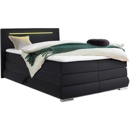 Collection AB Boxspringbett inkl. Bettkasten, LED-Beleuchtung und Topper schwarz/weiß