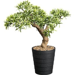 Creativ green Kunstbonsai »Bonsai Steineibe« mit Deko-Kies grün