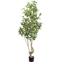 Creativ green Kunstbaum &raquo;Laurus nobilis&laquo; in toller Gr&ouml;&szlig;e gr&uuml;n