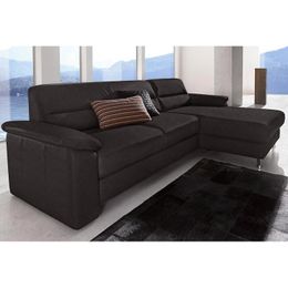 Sit & More SIT&MORE Ecksofa »Ascara L-Form« inklusive Boxspring/Federkern-Polsterung, wahlweise mit Bettfunktion schwarz